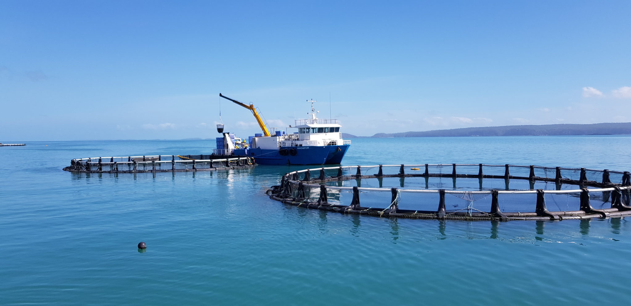Ocean Farms – Barramundi Group