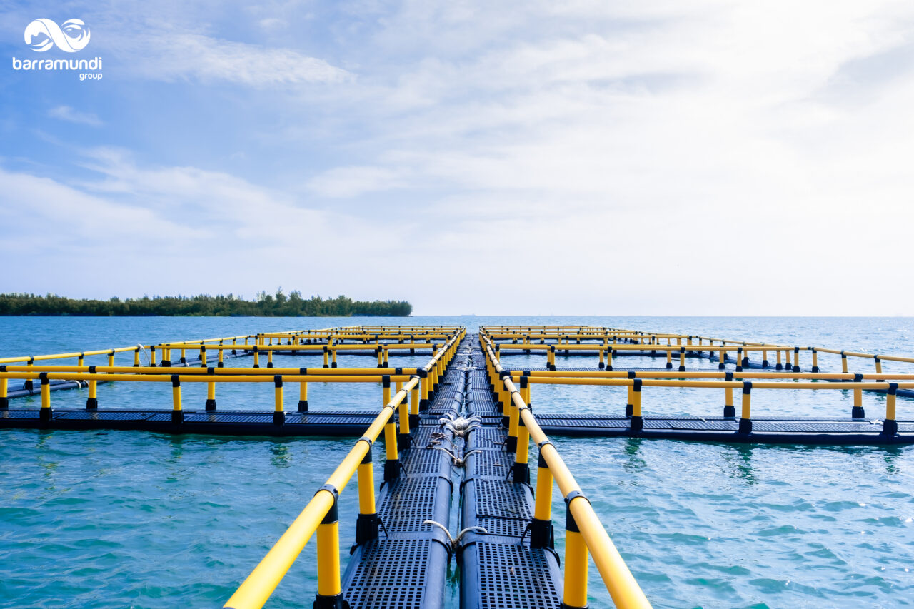 Farms – Barramundi Group